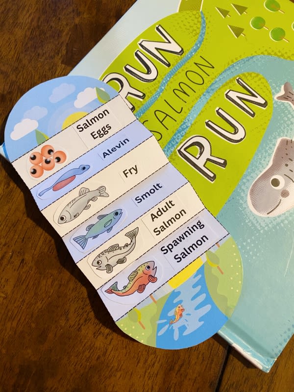 Engaging & Memorable River Unit Study for Pre-Kindergarten