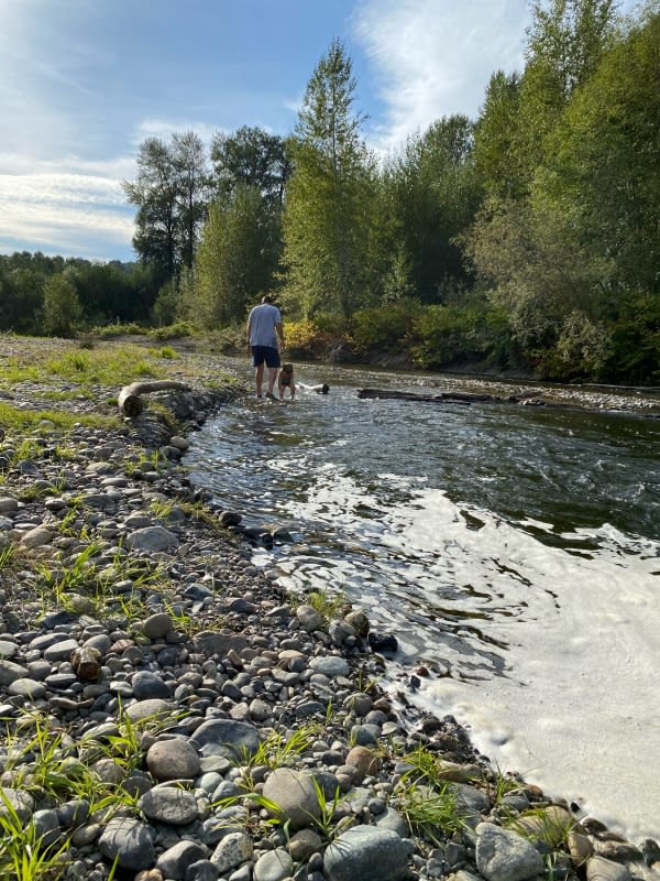 Engaging & Memorable River Unit Study for Pre-Kindergarten