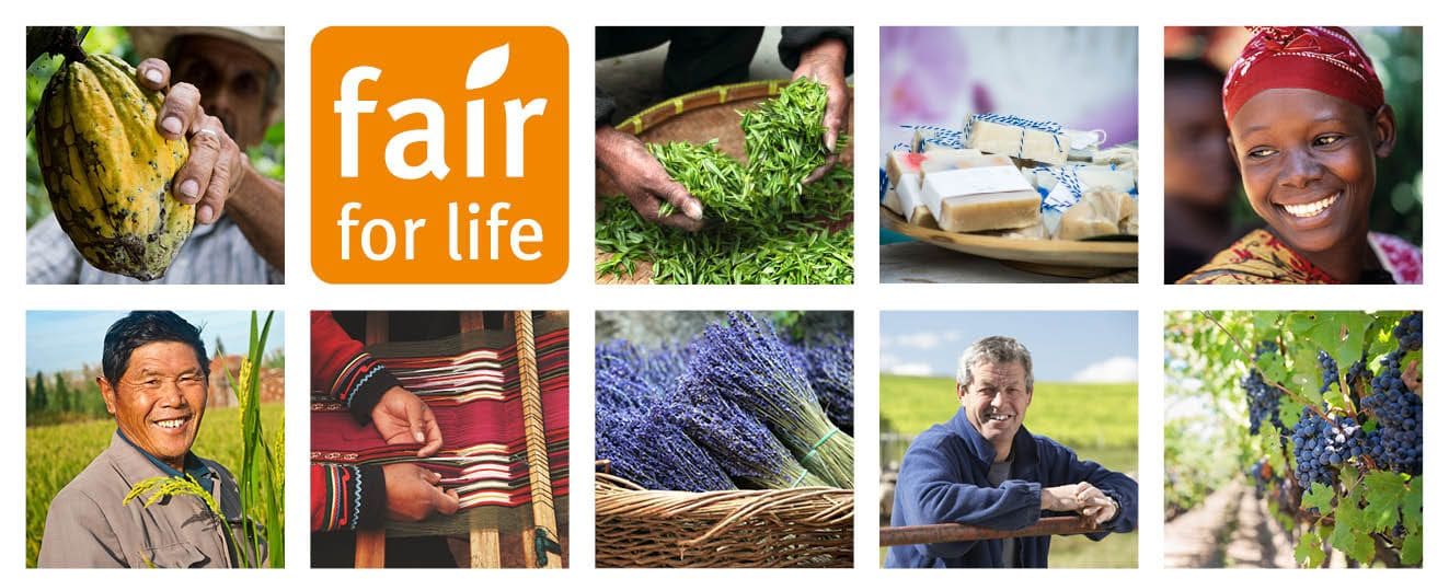 Ecocert Academy, e-learning catalog & e-commerce solution