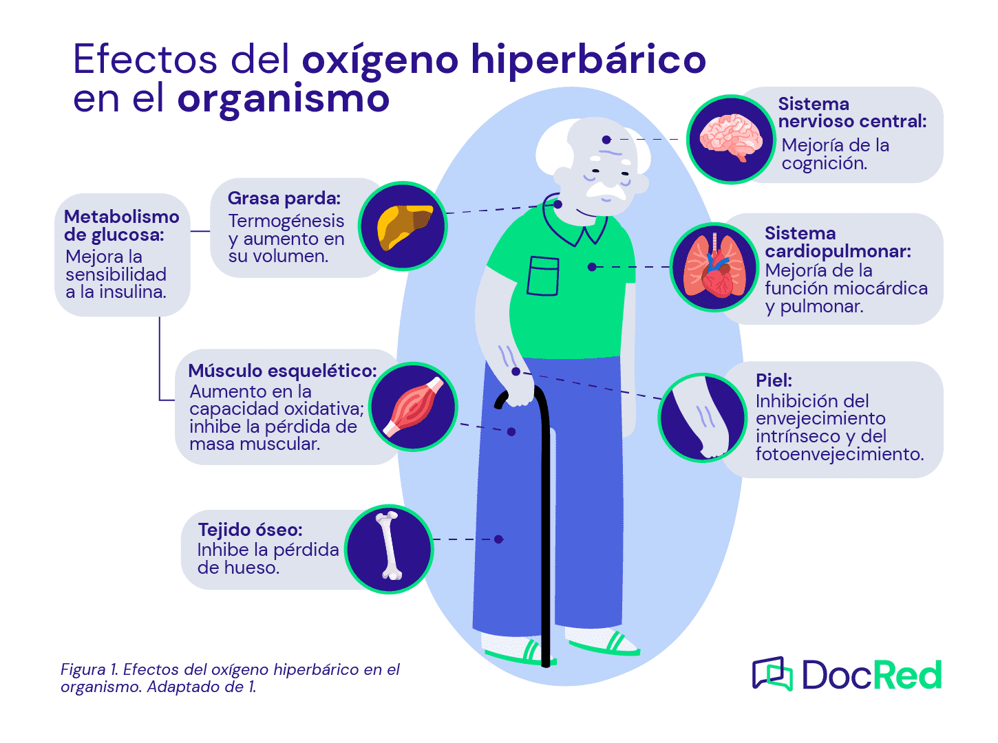 Oxigeno hiperbarico en el envejecimiento saludable
