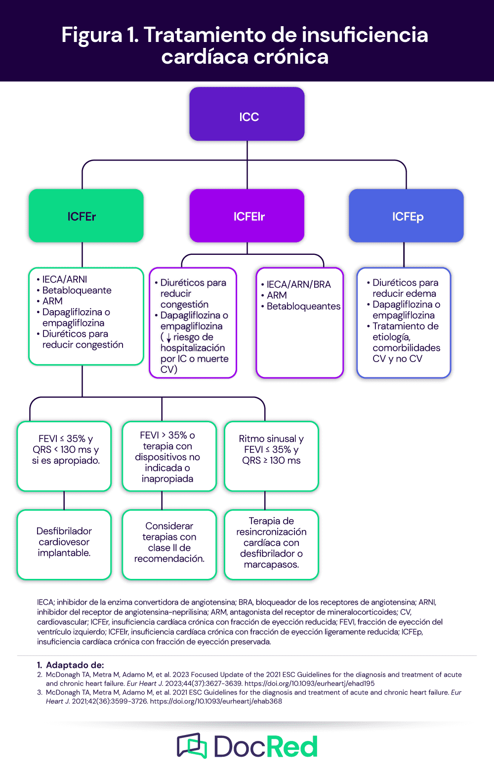 ESC 2023: guía de diagnóstico y tratamiento de insuficiencia cardíaca ...