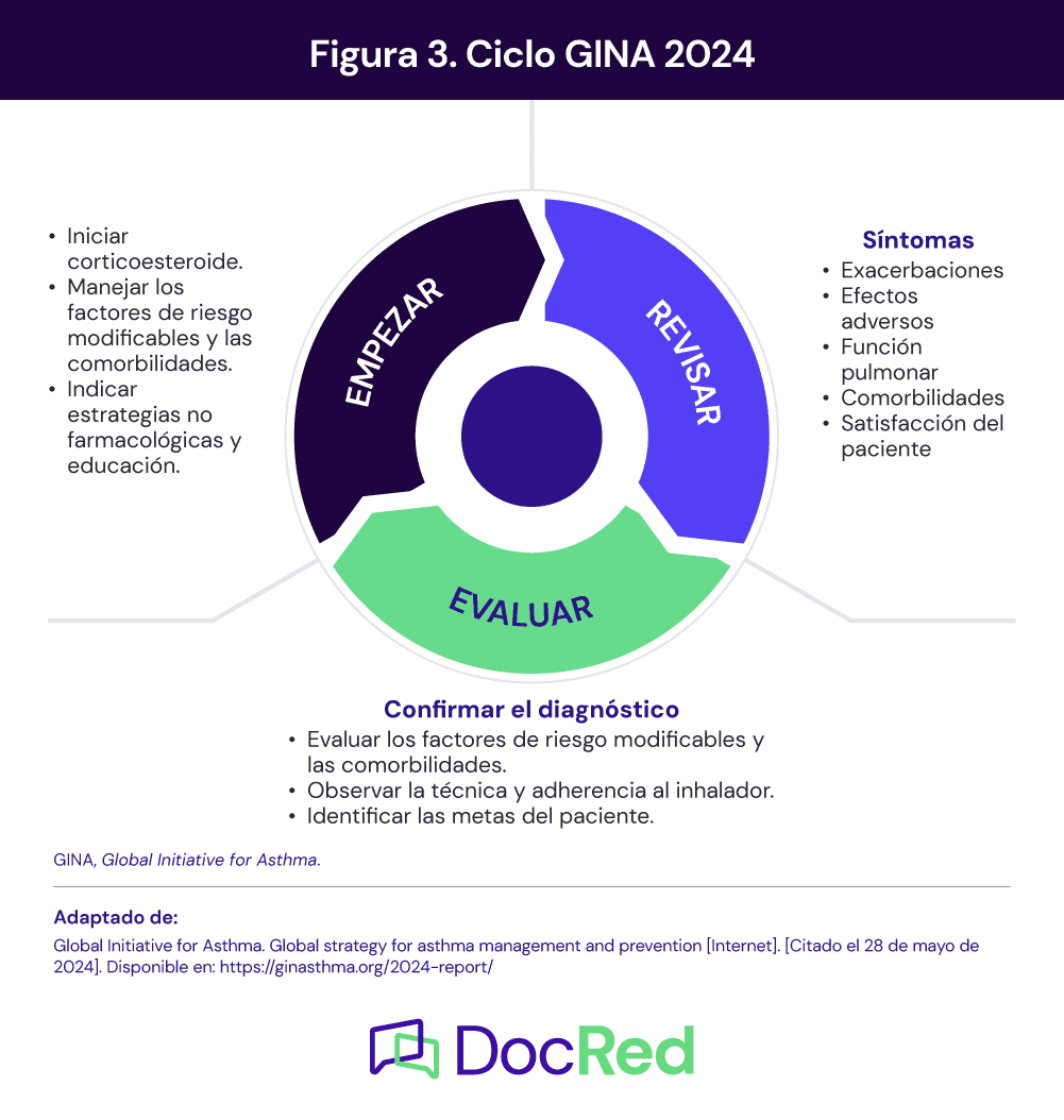 Nuevas recomendaciones en el tratamiento del asma: guías GINA 2024 - Docred
