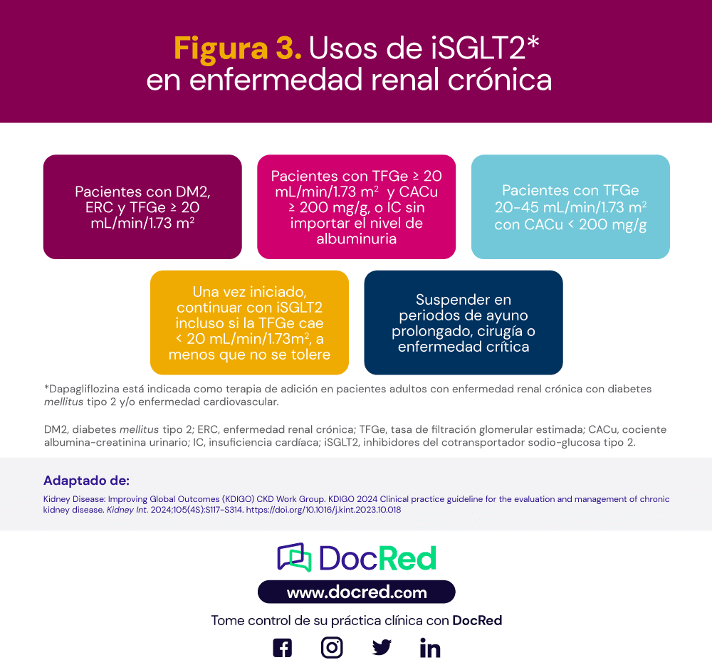 KDIGO 2024/ADA 2024: guías de tratamiento de enfermedad renal crónica