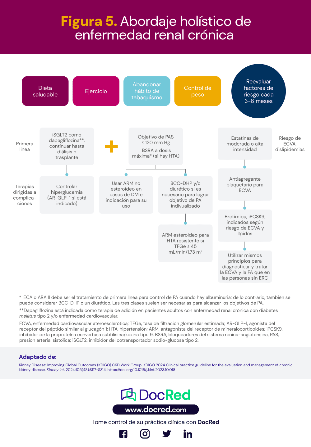 KDIGO 2024/ADA 2024: guías de tratamiento de enfermedad renal crónica
