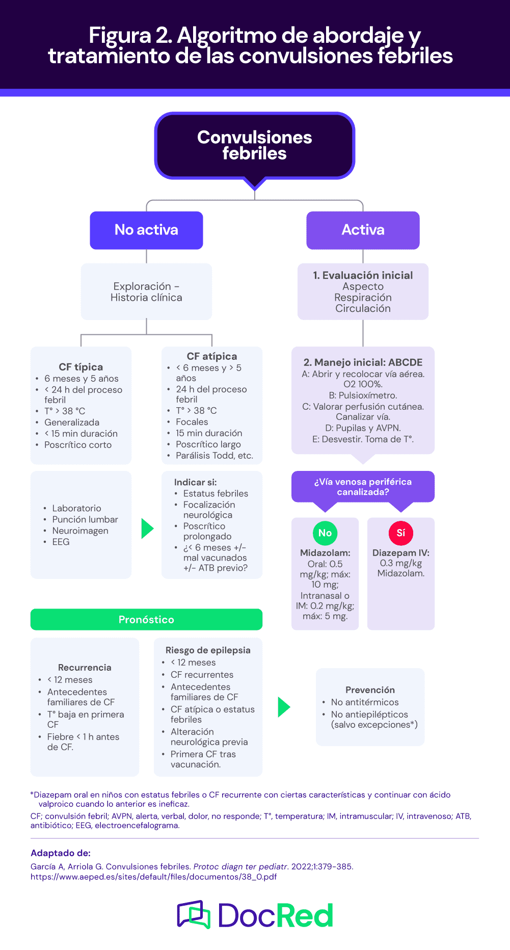 Fisiopatología De Las Convulsiones Febriles 768x1024