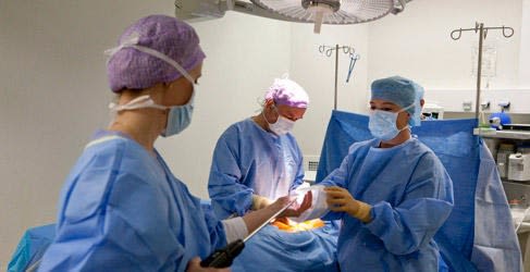 Dr Marie-Hélène Roullet, Chirurgien viscéral et digestif à Brou-sur ...