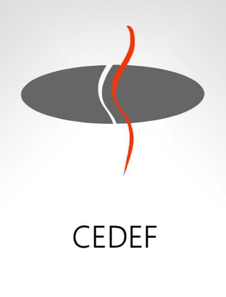 CEDEF - Centre Européen de Diagnostic et d'Exploration de la Femme ...