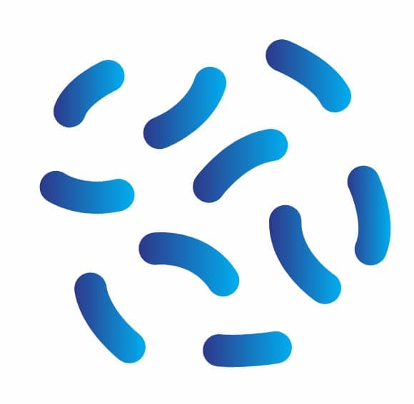 BIOLAM Laboratoire de Salouël, Laboratoire à Salouël