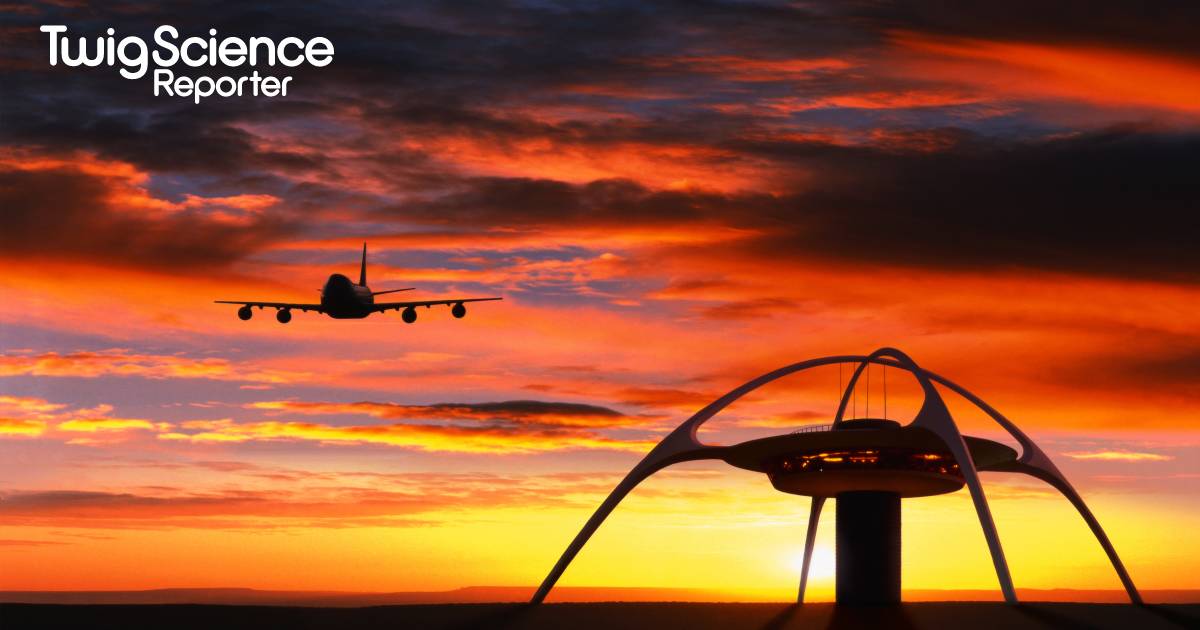 Season 2 Issue 5: Earthquake engineers - Twig Science Reporter