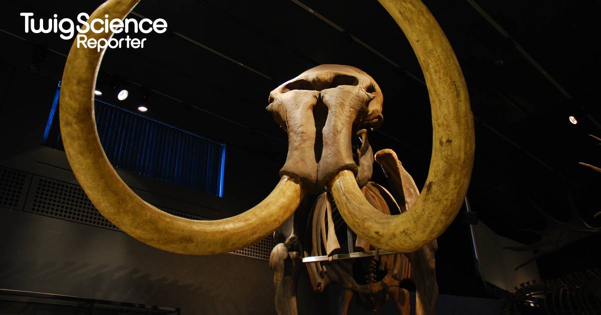 News update 2020 10 08 - Twig Science Reporter