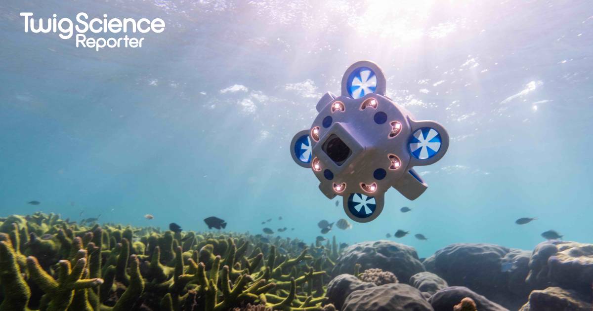 Robots and Drones - Twig Science Reporter