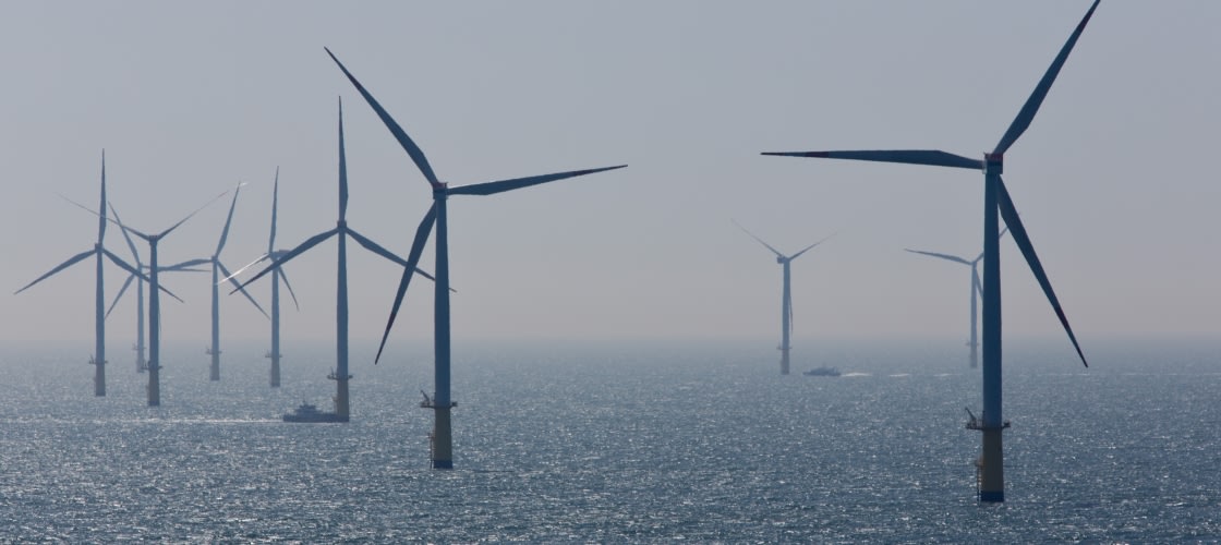 The House | Navitus Bay offshore wind farm would 'desecrate Dorset’s ...