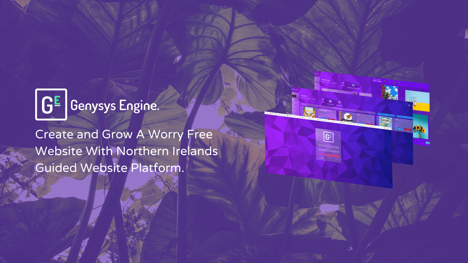 Website Design & SEO Services in Northern Ireland | Genysys Engine