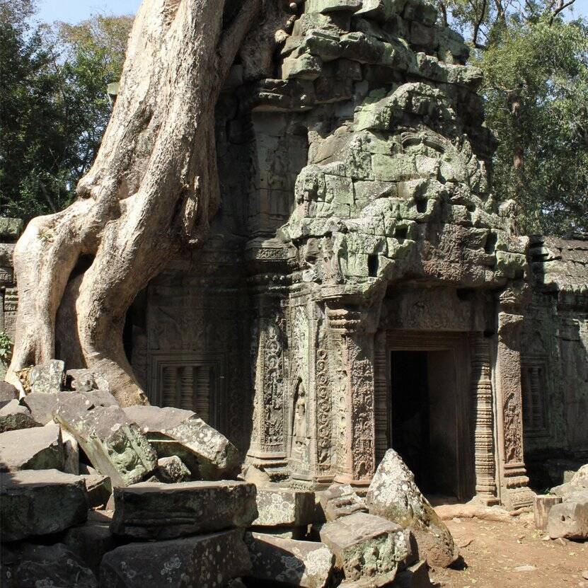 Cambodia - Trinity Law School