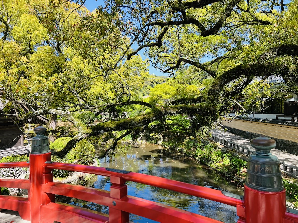 1-Week Kyushu Itinerary: Unmissable Trip in Southwest Japan