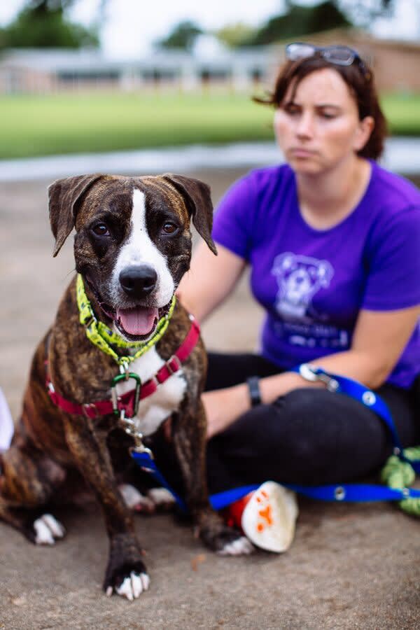 Vince - Dogs Out Loud