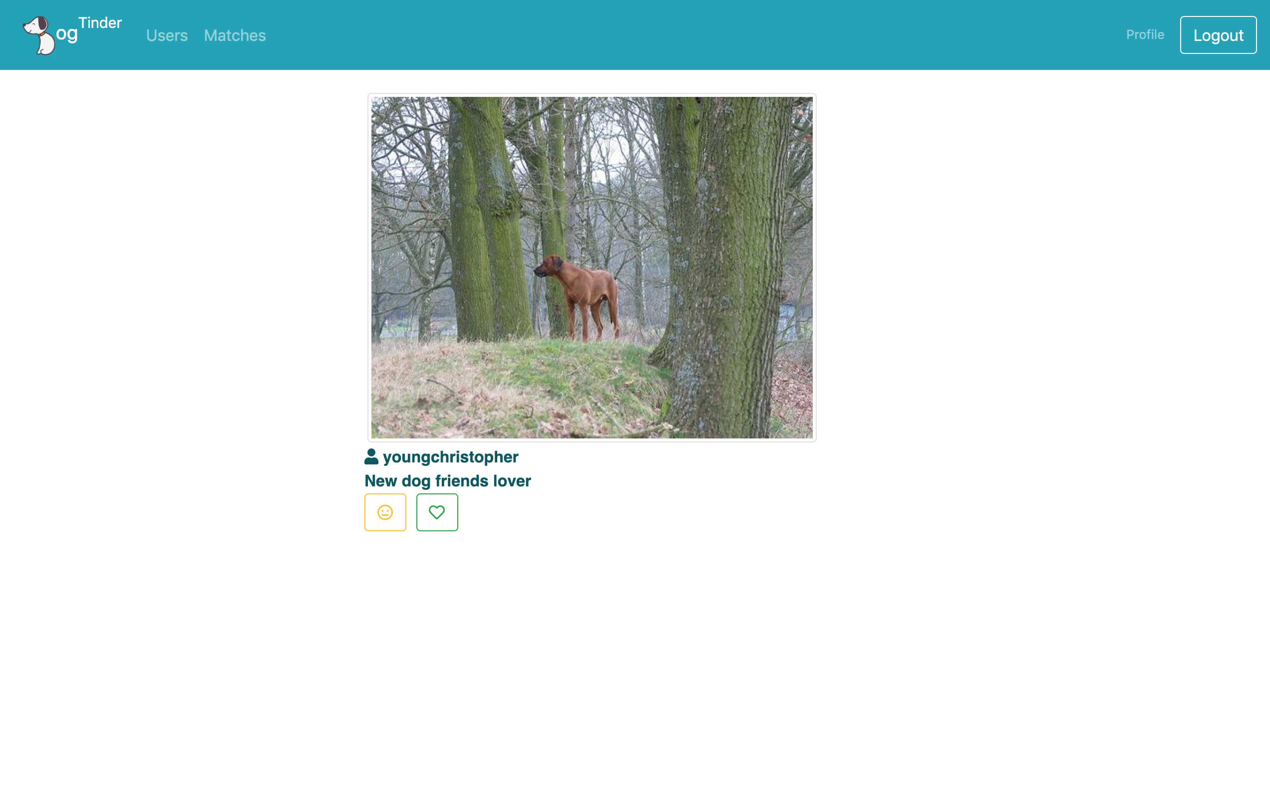 GitHub - IrynLoza/dog_tinder: Dating full stack web App for dogs