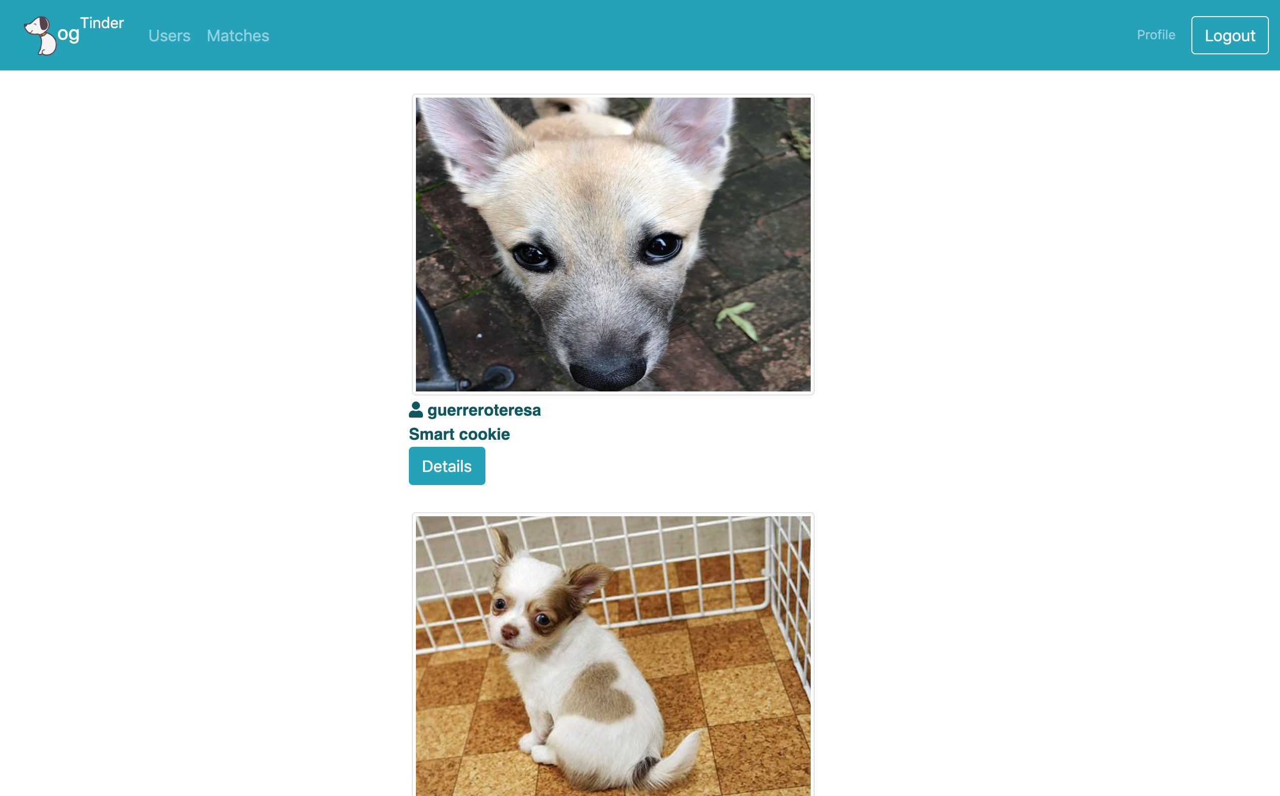 GitHub - IrynLoza/dog_tinder: Dating full stack web App for dogs