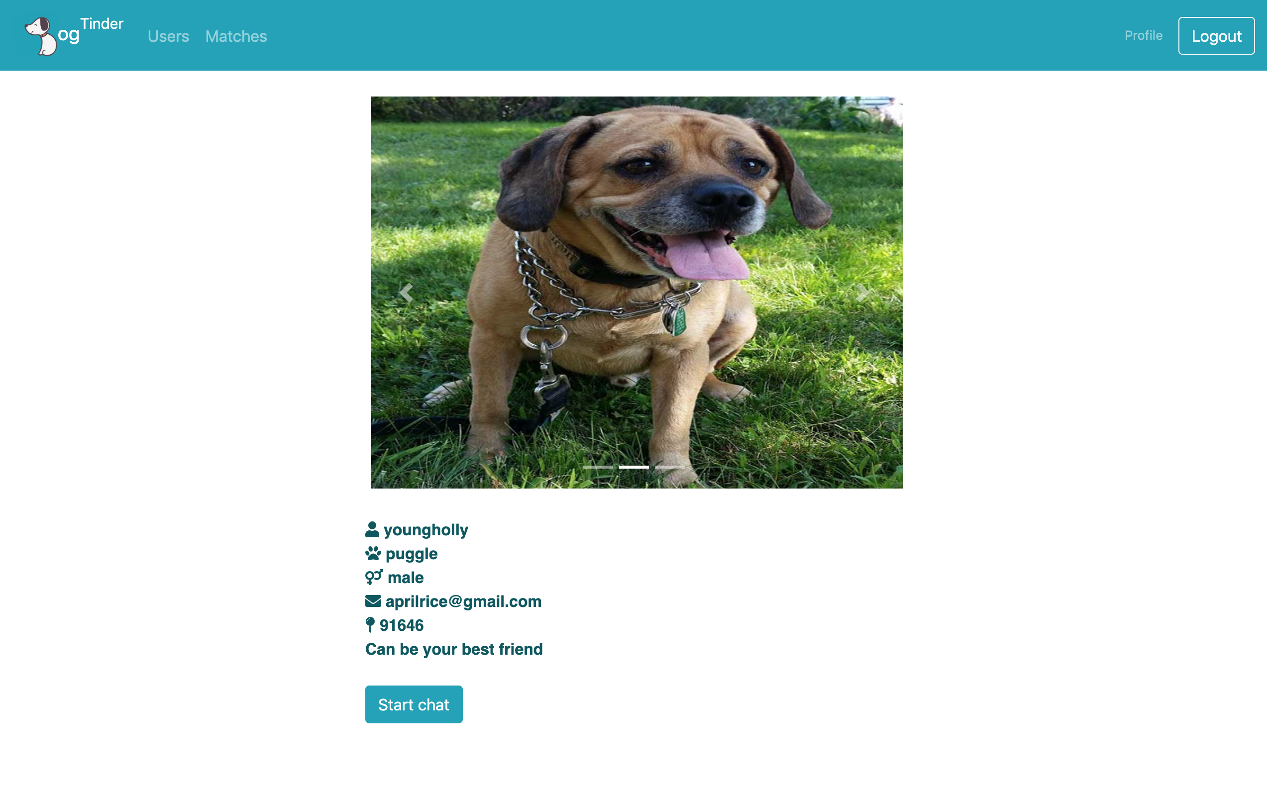 GitHub - IrynLoza/dog_tinder: Dating full stack web App for dogs