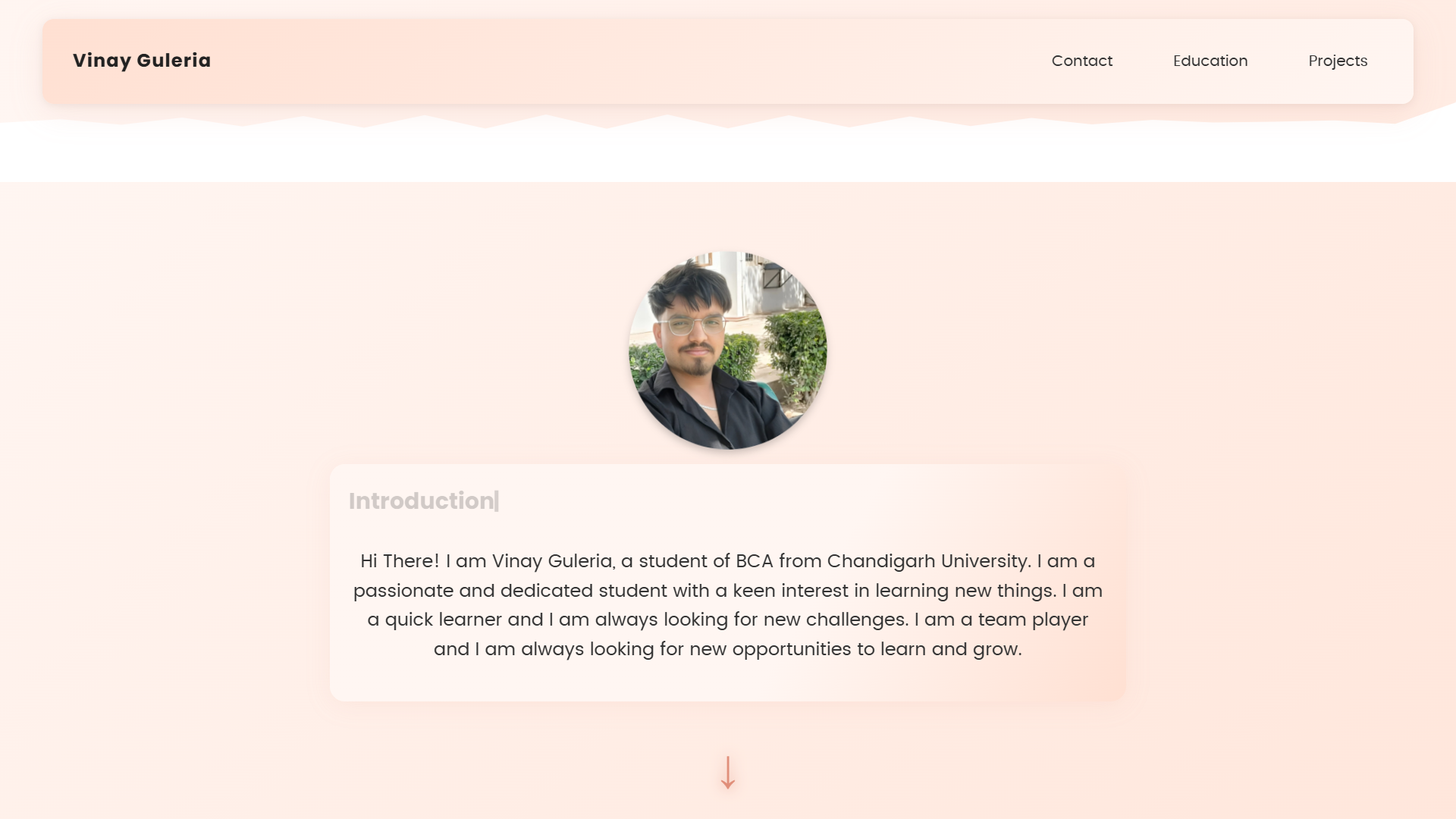 Interactive Personal Portfolio