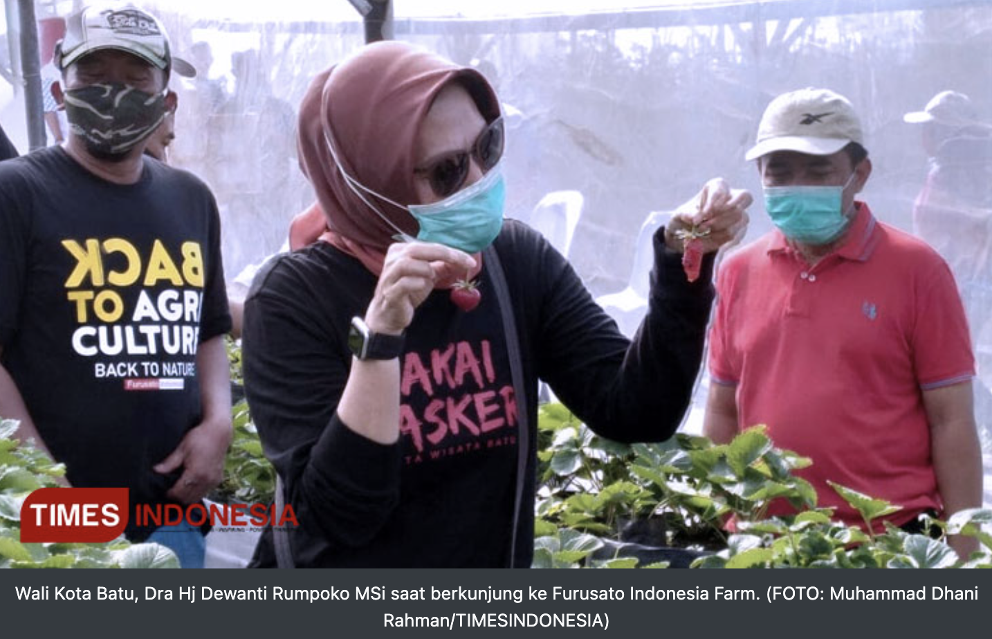 Sempat Disebut Gila, Petani Furusato Indonesia Berhasil Kembangkan Melon Pegunungan | Furusato ...
