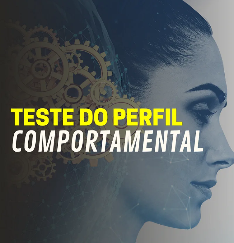 Teste Do Perfil Comportamental 🧠 é BOM? 【Análise】Silvânia Vilas Boas é ...
