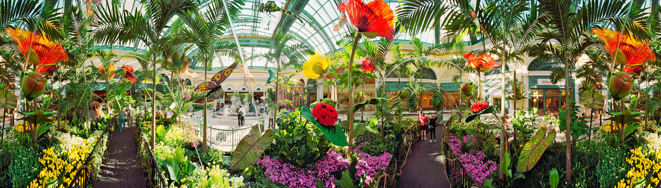 Las Vegas – Thomas R. Schiff Photographs