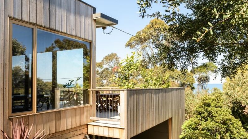 The architect who built a life-sized treehouse for his whole family