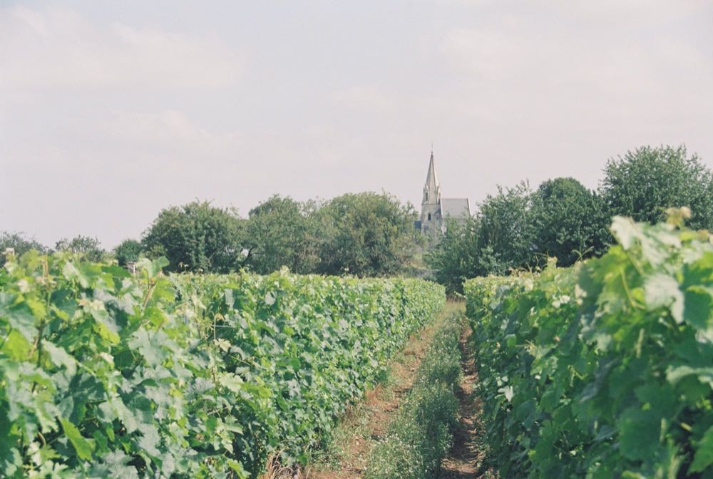 Domaine du Valbrun