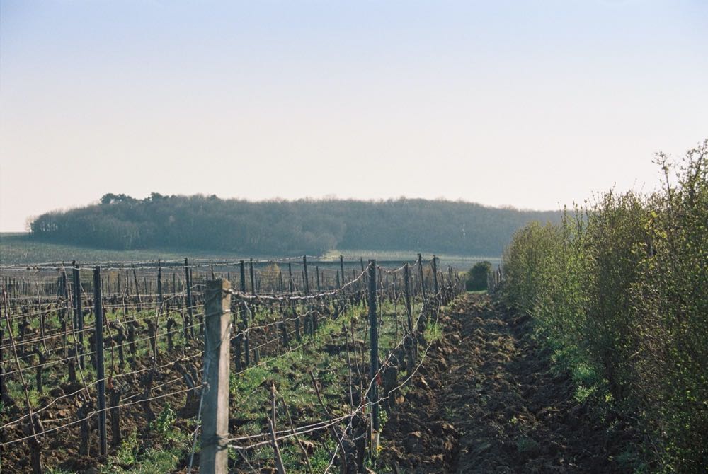 Domaine du Valbrun