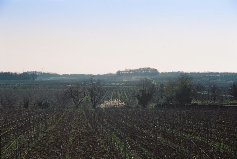 Domaine du Valbrun