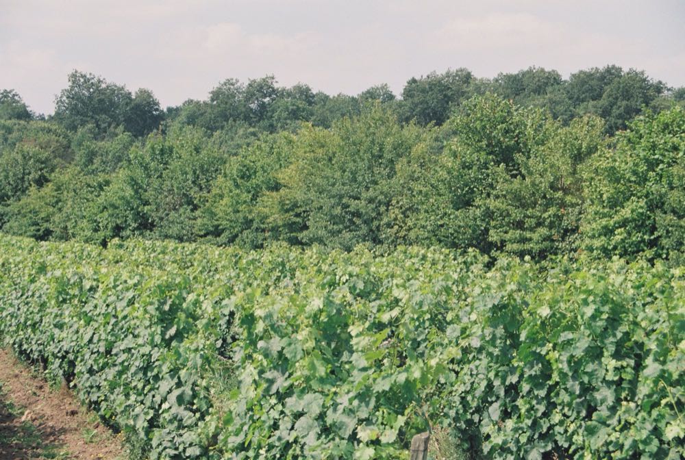 Domaine du Valbrun