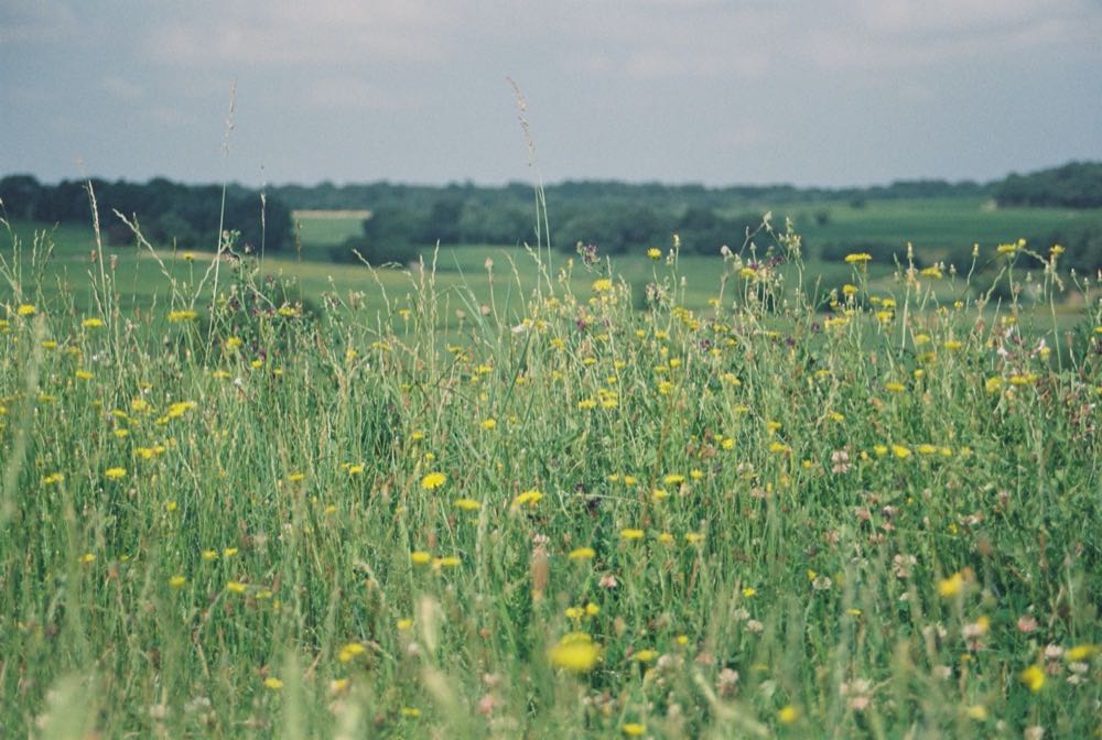 Domaine du Valbrun