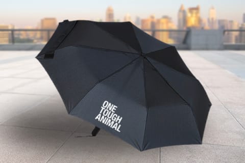 Bobcat Official Merchandising – Bobcat Company Europe