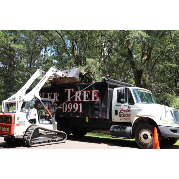 Tree Removal Company’s Innovative Approach Takes Productivity to New ...