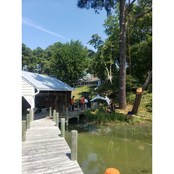 Simpson’s Tree Services: Clearing Unique Spaces with Bobcat Equipment ...