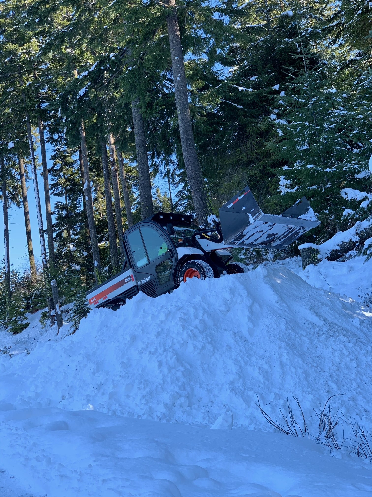 Versatile Machine Plays Leading Role for All-Seasons Landscaper ...