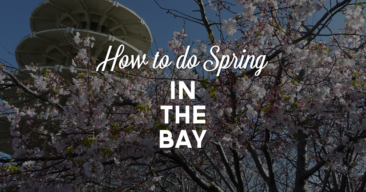 How To Do Spring In The Bay