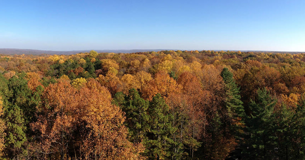 The Most Hoosier Fall Road Trips You Can Go On