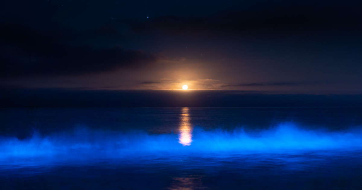 Glowing Blue Waves Appear in Santa Cruz