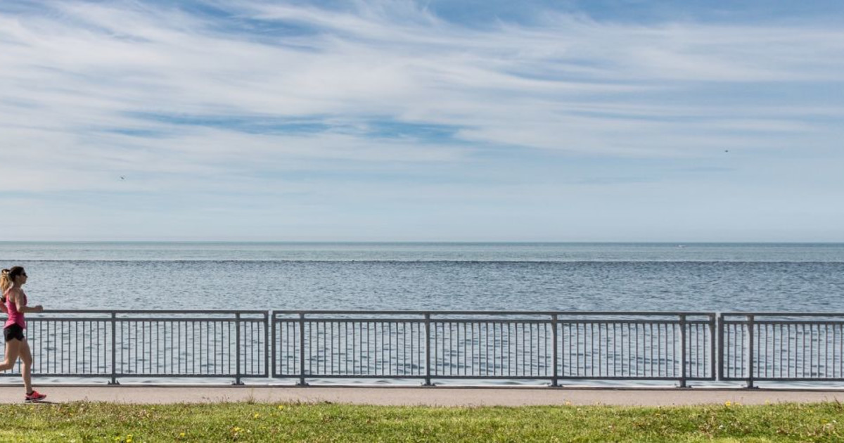 The Healthy Guide To The Bay