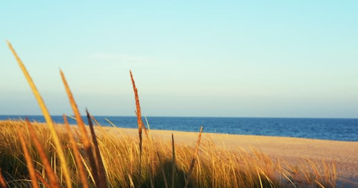 Ultimate Hamptons Guide