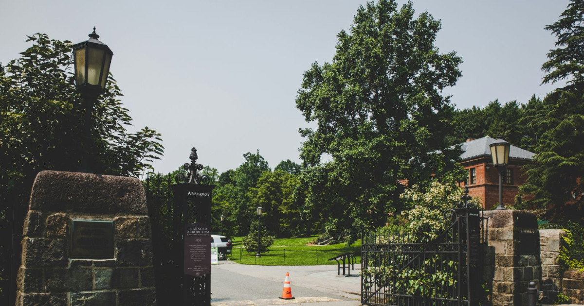 Neighborhood Guide: Egleston Square