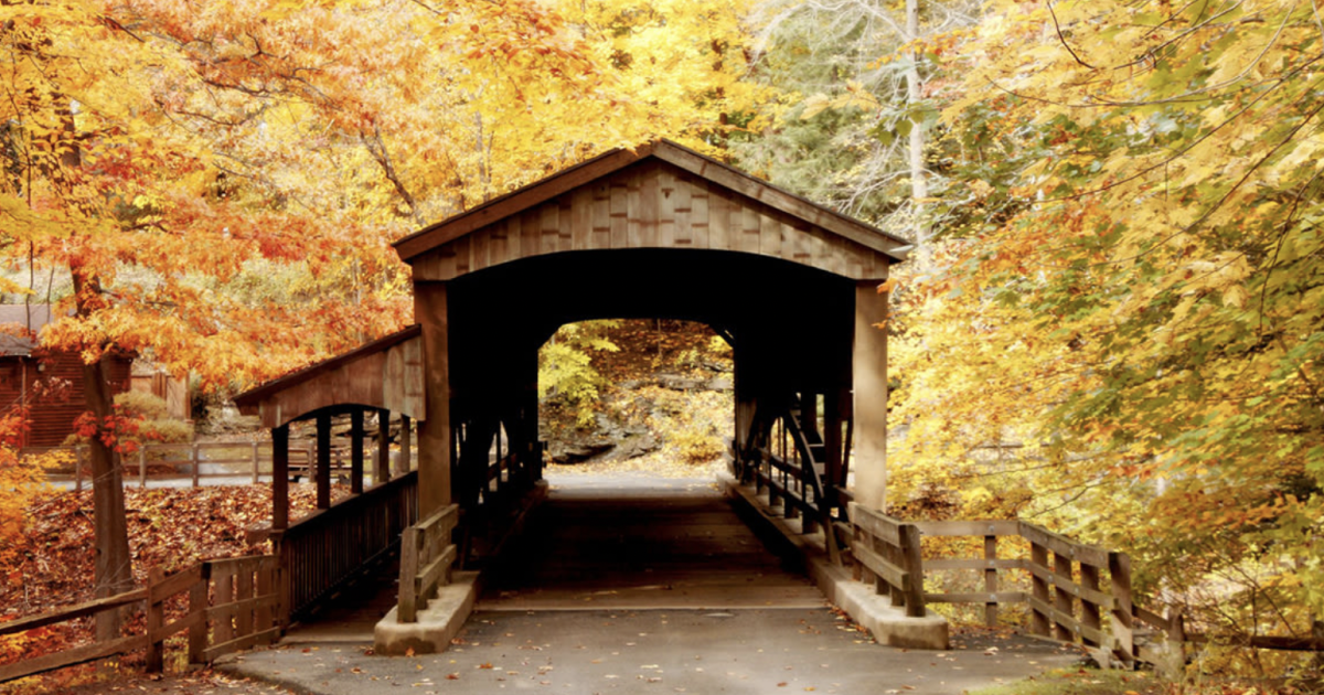 The Ultimate Fall Guide for Indianapolis