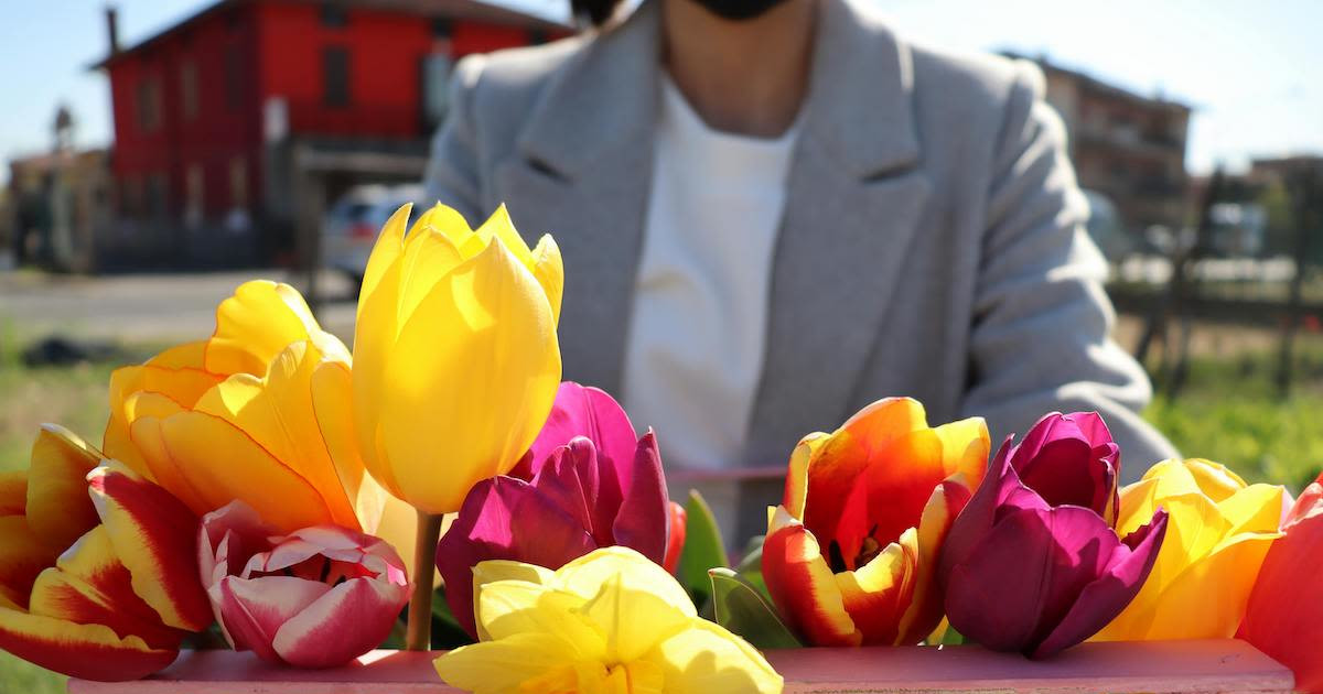 How To Do Spring In Kansas City