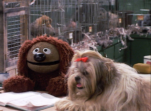 Our Favorite New York Movie Dogs