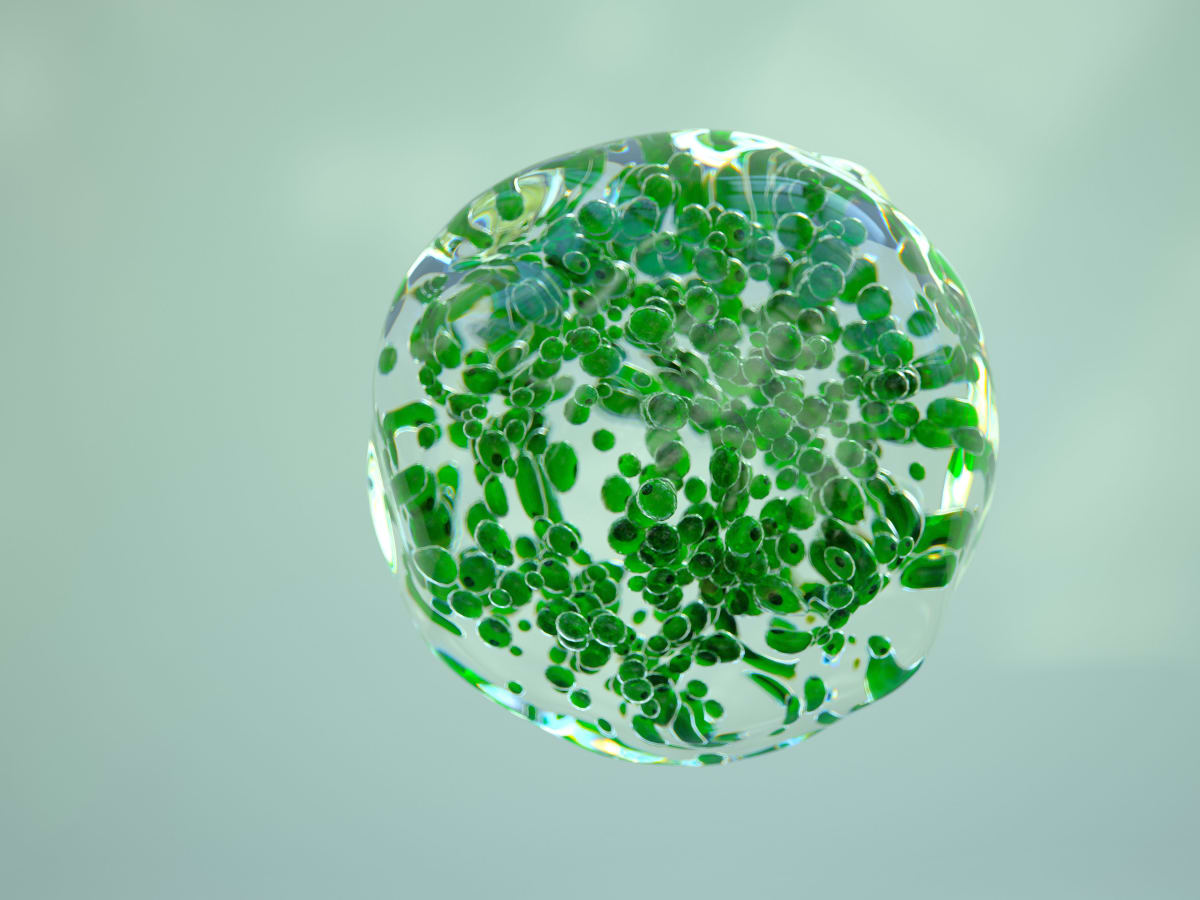 High science, high tech, high hopes: what stood out at ASH 2024