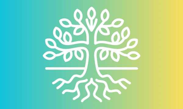 Behind the Brand: Marketdata&Match | VML