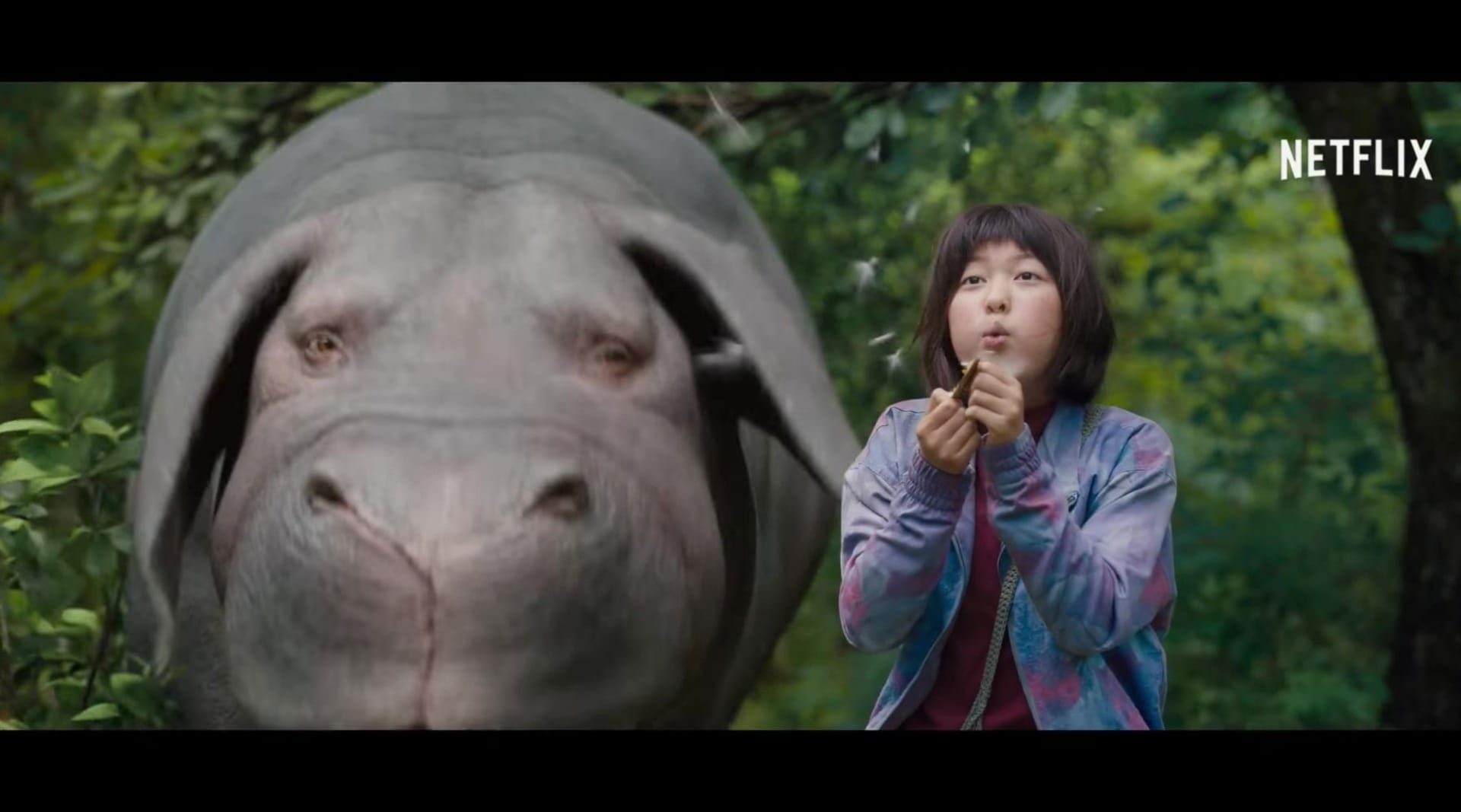 Okja, the electric car revolution and more