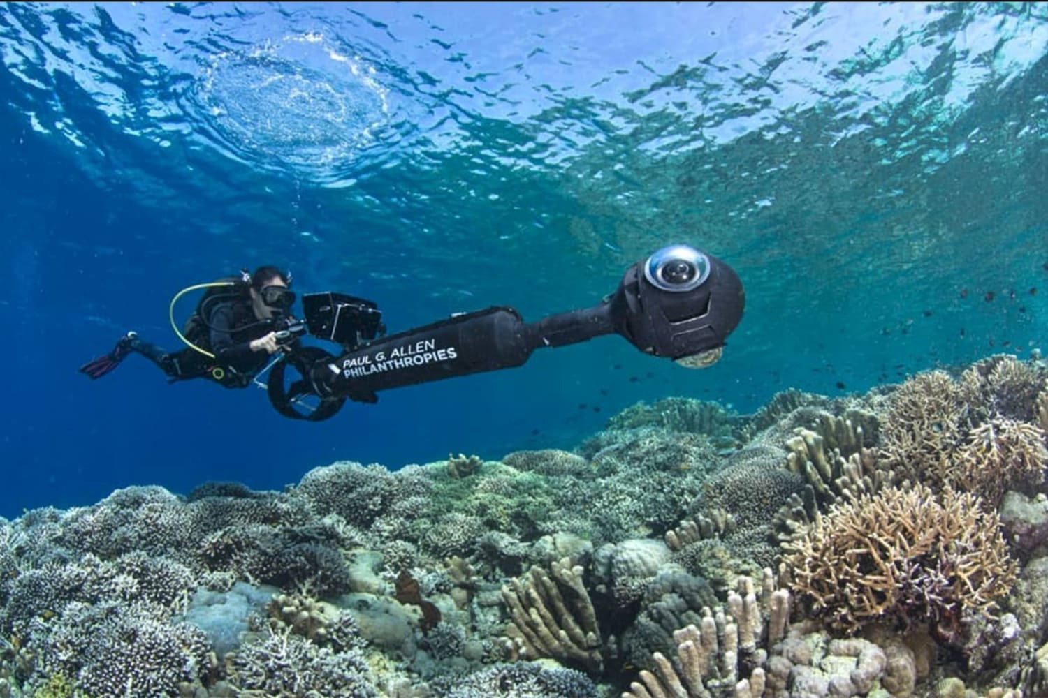 Richard Vevers, founder & CEO, The Ocean Agency | VML